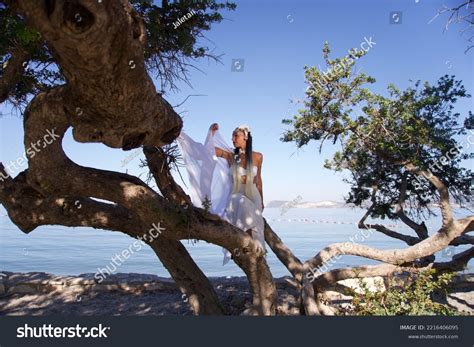 Large Arms Extending Large Trunk Gum Stock Photo Shutterstock