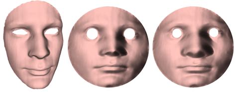 Table 1 From Bijective Density Equalizing Quasiconformal Map For Multiply Connected Open