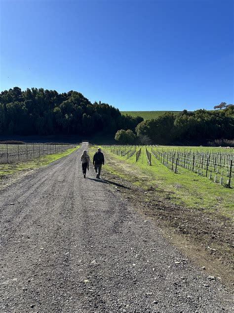 Creekcut Pasorobleswinecountry Chris M Lamoreaux