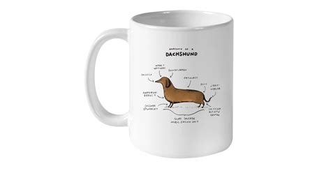Anatomy Of A Dachshund
