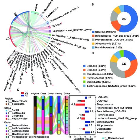 Correlation Analysis Of Microbiota And Scfa A Redundancy Analysis Of Download Scientific