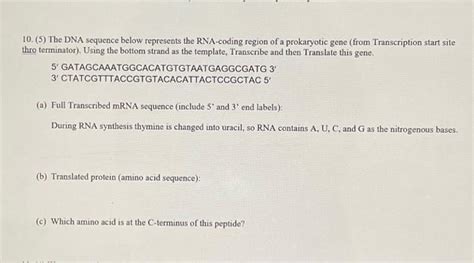 Solved 10 5 The Dna Sequence Below Represents The