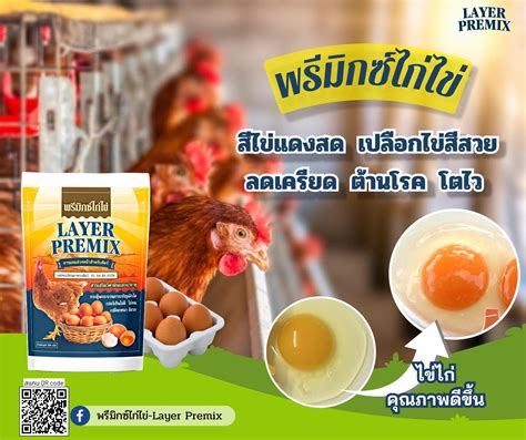 📌ลองใช้แล้วจะเห็นการเปลี่ยนแปลง สีไข่แดงจะสวยขึ้น ตอบโจทย์ความต้องการของตลาด 🍀 พรีมิกซ์ไก่ไข่ 🐣