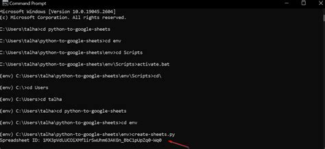 How To Use Python With Google Sheets SSP