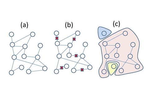 A Schematic Of Network Percolation A The Original Network B A