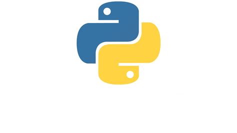 Чтение и запись файлов в Python 2024 ВКонтакте