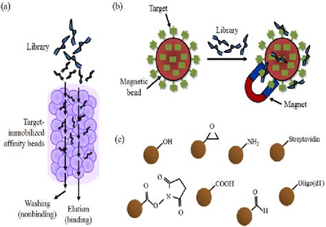A Schematic Representation Of The Steps Involved In The Selection Of Download Scientific