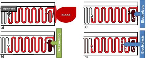 Capillary Microfluidic Chip With Integrated Pump And Valve Actuator