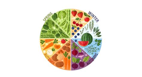 Seasonal Fruits And Vegetables Chart Stock Illustration Illustration Of Design Fruits 394330813