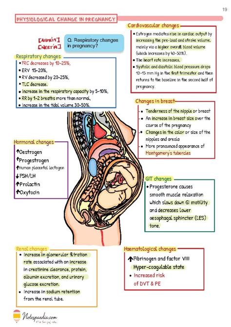 Obs Gyn Image Bank Notespaedia