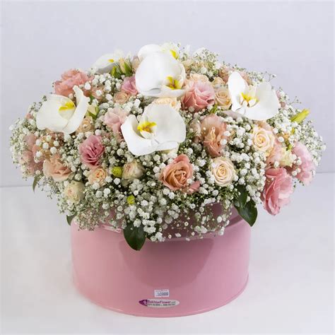 خرید باکس گل رز هلندی قرمز کد 2740 فروشگاه گل و گیاه باختر