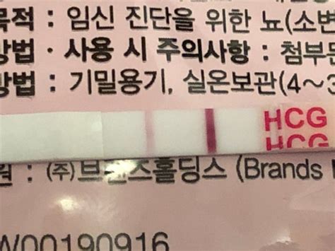 임신초기공유3 배란 14일차부터 배란 16일차 3주5일부터 4주 0일 네이버 블로그