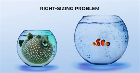 The Right Sizing Problem In Cloud Computing And How To Solve It Virtuozzo Blog