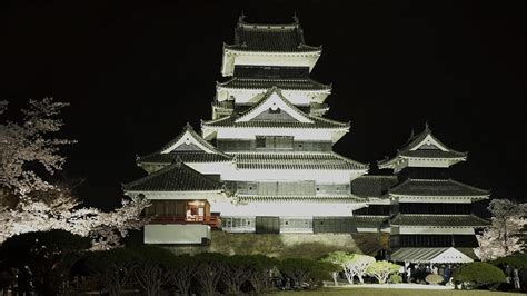 国宝 松本城長野 2025年桜祭り夜桜ライトアップ見頃情報 amAtavi