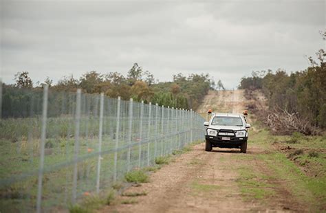 Pests And Weeds Biosecurity