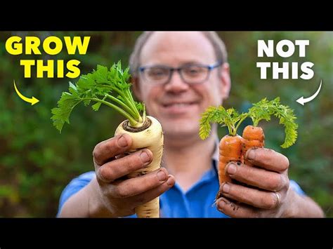 Free Video This Crop Is Way Better Than Carrots The Forgotten Parsnip From Growveg Class