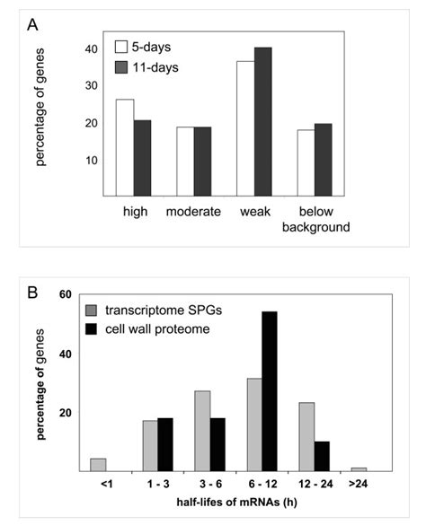 Level Of Transcripts Of Genes Encoding Cwps Identified Through