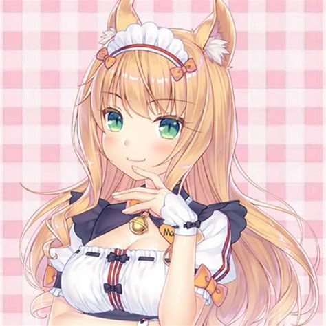 Maple Nekopara Icon♡