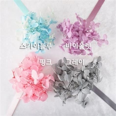 컬러 수국 프리저브드 드라이플라워