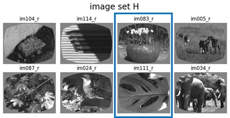 Visual Behavior Ophys Dataset Overview — Swdb 2024 Data Book
