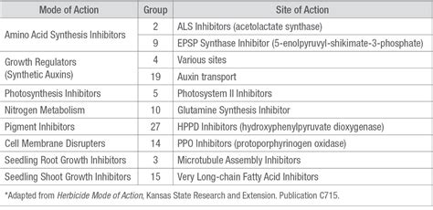 Corn Herbicide Mode Of Action Crop Science Us