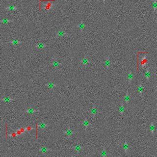A Sketch Of The Contribution A A Noisy Image Of The Action Of An Download Scientific Diagram