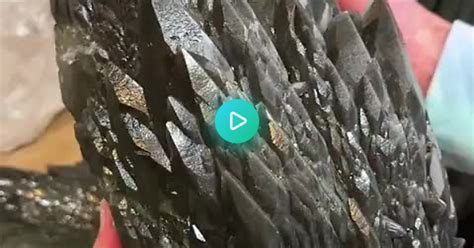 Dragon Scale Calcite Album On Imgur