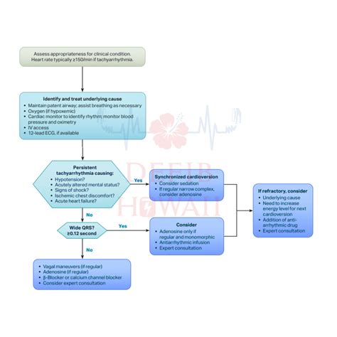Aha Acls Algorithms 2020 2025 Updated Guidelines And Flowcharts Aha Acls Algorithms 2020 2025 Updated Guidelines And Flowcharts