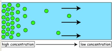 Grade 7 Science Diffusion Flashcards Quizlet