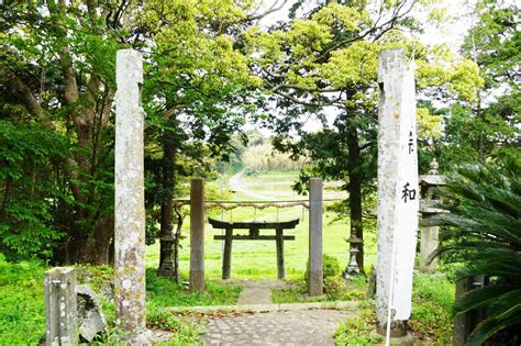 新城神社九州への旅行や観光情報は九州旅ネット