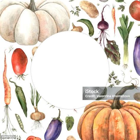 야채 호박 가지 양파 사탕무 고추 무 딜 당근 완두콩 감자 파슬리 시금치의 수채화 구성 텍스트의 둥근 배경입니다 그래픽 및 인쇄 디자인에 사용 가지 채소에 대한 스톡 벡터