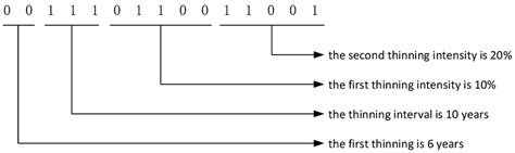 Example Diagram Of The Operation Parameter Chromosome Coding Download Scientific Diagram