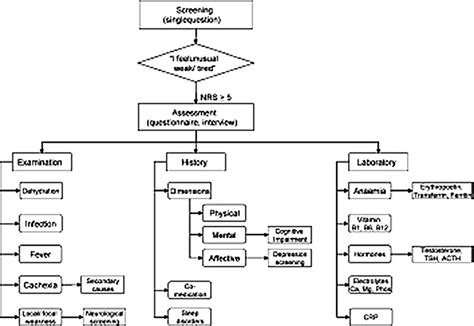 Algorithm For The Diagnosis Of Fatigue In Palliative Care Patients Download Scientific Diagram