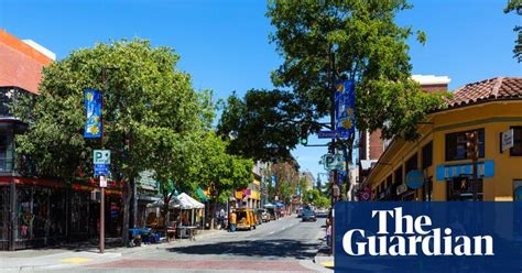 omar elshaarawy on linkedin how urban planners preference for male trees has made your hay