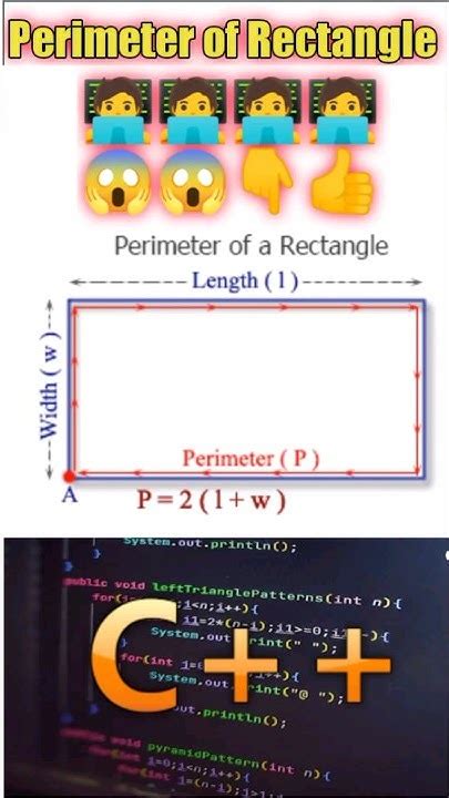 C Program To Calculate Perimeter Of The Rectangle C Programming 🧑