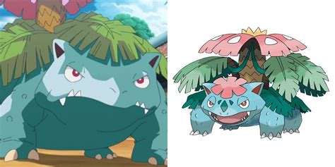 The 15 Best Grass Type Pokémon Ranked