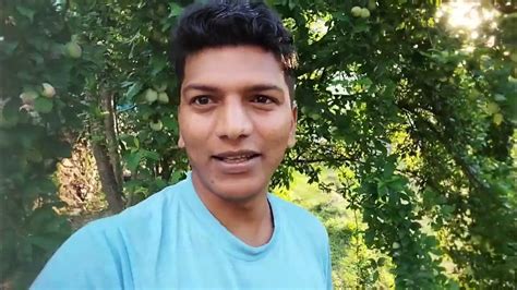 पहाड़ी फल आडूपुलम पक गए आजाओ खाने Pahadi Lifestyle Youtube