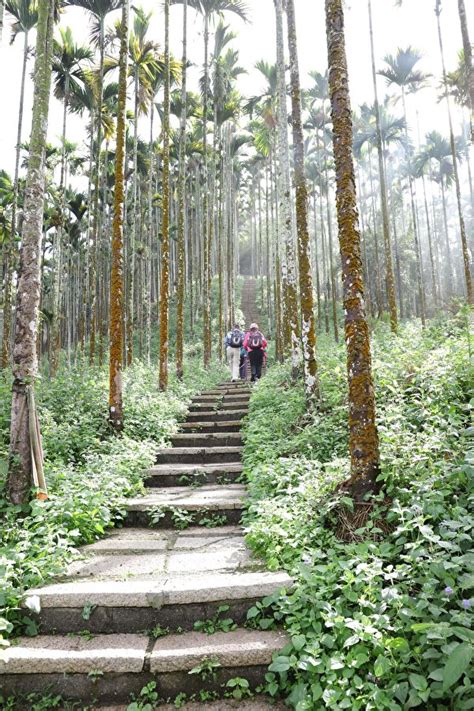 整建華山教育農園及登山步道 再現古坑風華 觀光休閒 大紀元