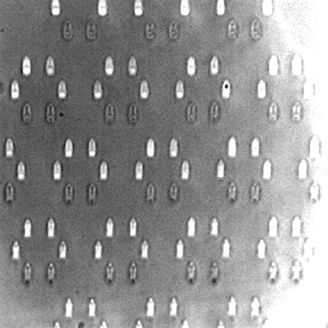 Topological Protection Of Quantum State Structure Lims