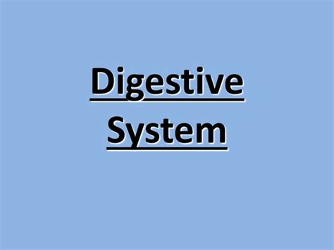 The Digestive System Parts And Functions Ppt
