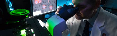 The Lang Lab University Of Wisconsin School Of Medicine And Public Health Uw Madison