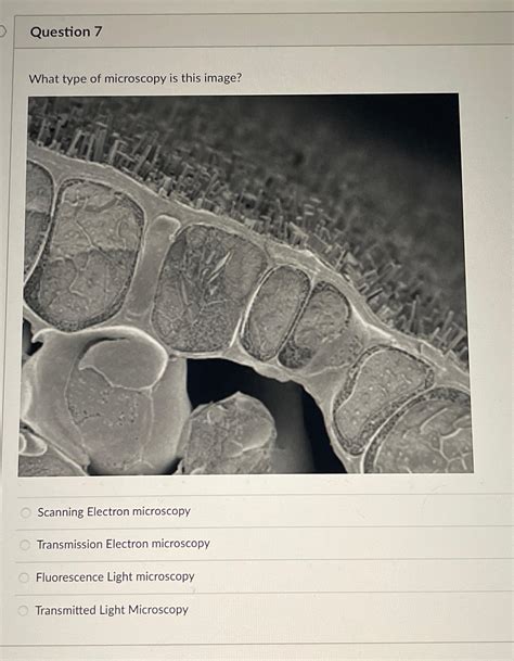 Solved Question 7what Type Of Microscopy Is This