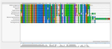 Multiple Sequence Alignment Of Cyp19a Gene With Various Organism