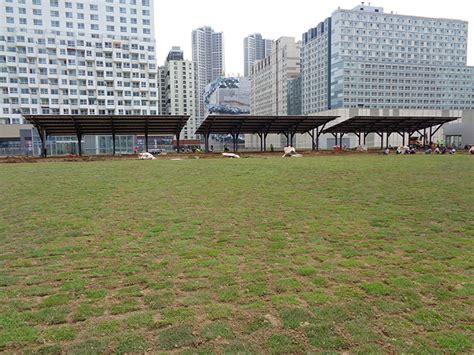 수원 신청사 주차장 500kw 주차장 태양광 주 월드쏠라에너지