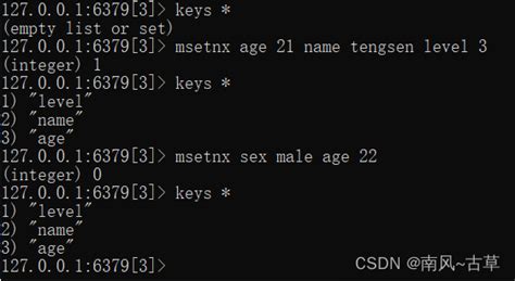 redis 键 key 相关操作和常用命令 redis添加key和值 csdn博客