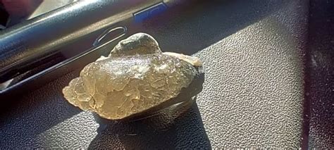 Fossilized Shell Turn To Calcite Rgeologyporn