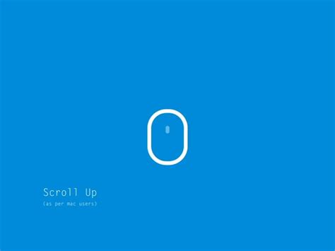 Lottie Animation Export Tutorial From Adobe After Effects