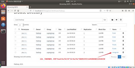 大数据实验报告【全集】在哪里可以找到各种实验报告 Csdn博客