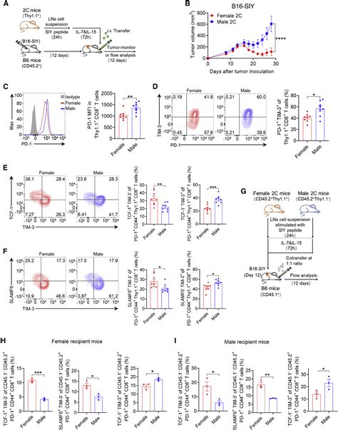 Androgen Receptor Mediated Cd8 T Cell Stemness Programs Drive Sex Differences In Antitumor