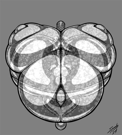 Rule 34 2024 Absurd Res Anthro Ass Belly Belly Inflation Big Belly Big Breasts Big Butt